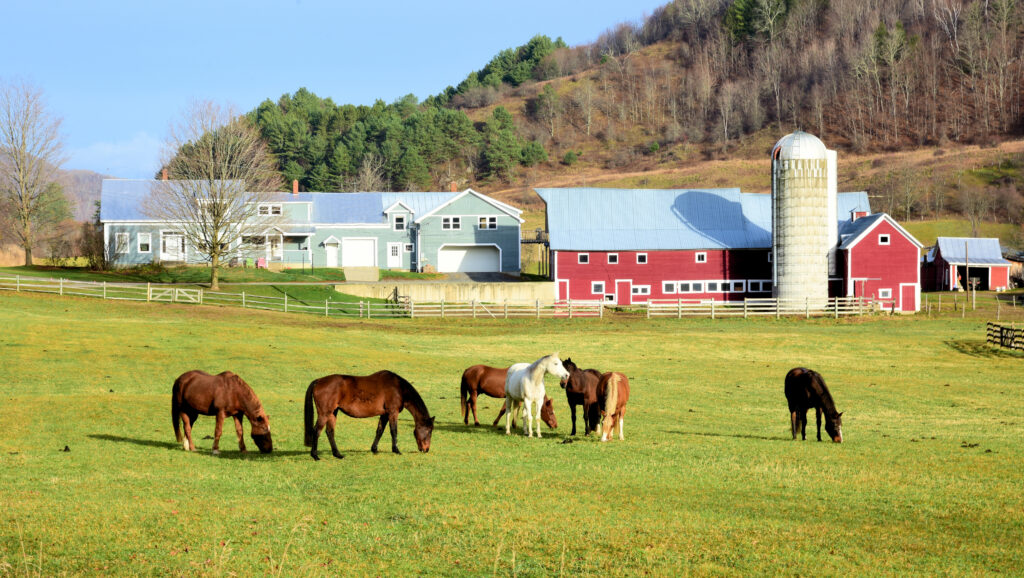 Chelsea, Vermont – The Official Website for the Town of Chelsea, Vermont