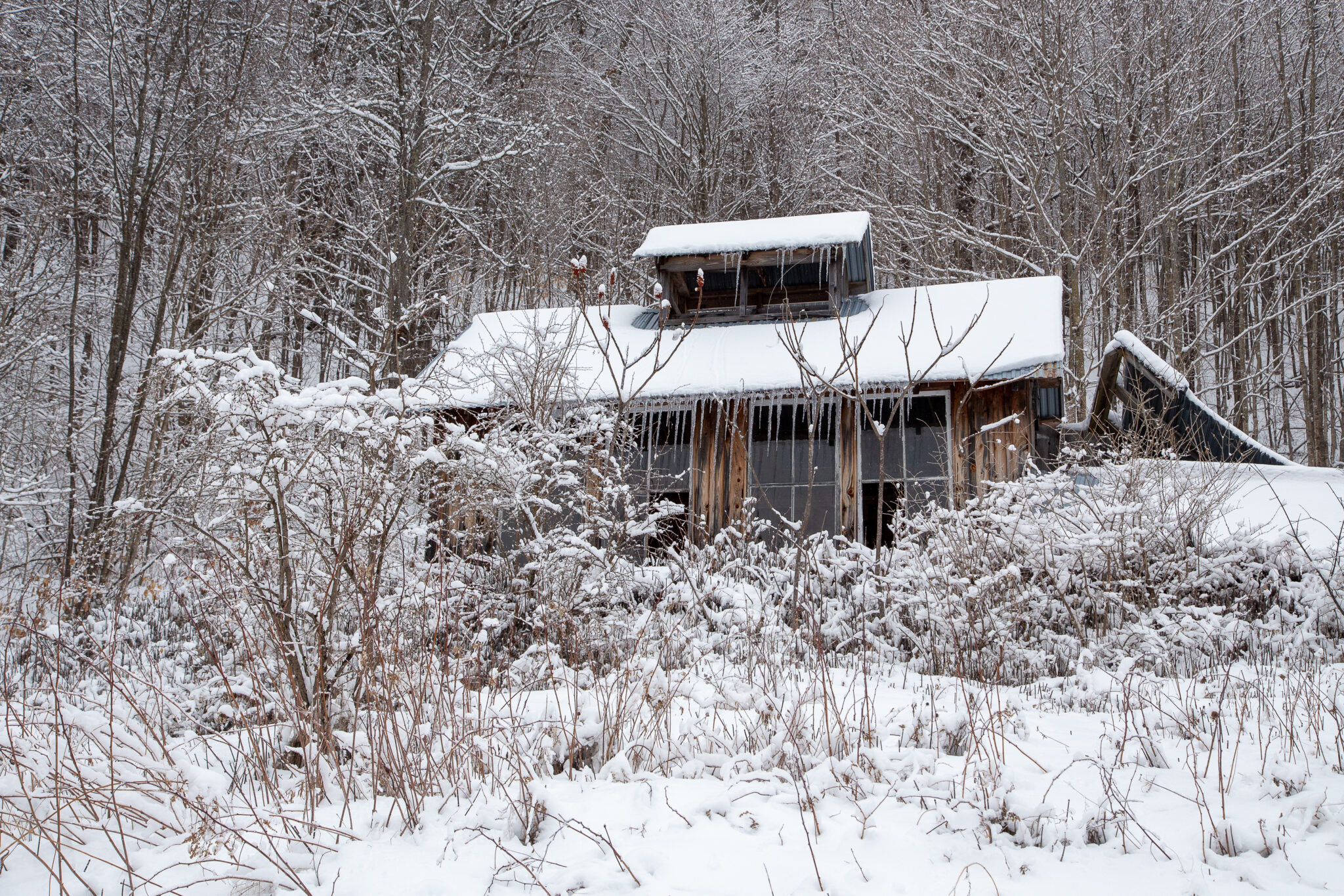 Community – Chelsea, Vermont