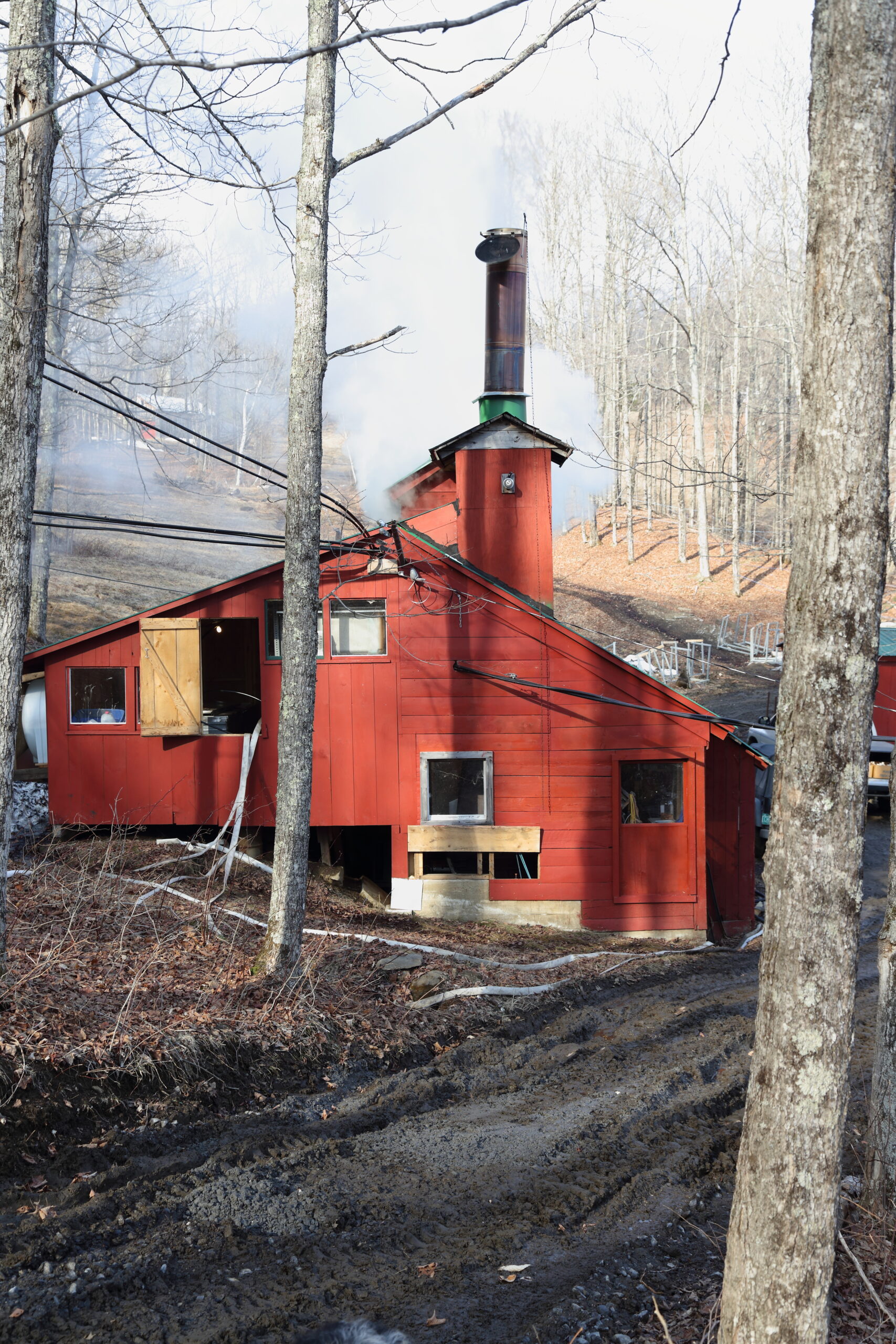 Maple Syrup – Chelsea, Vermont