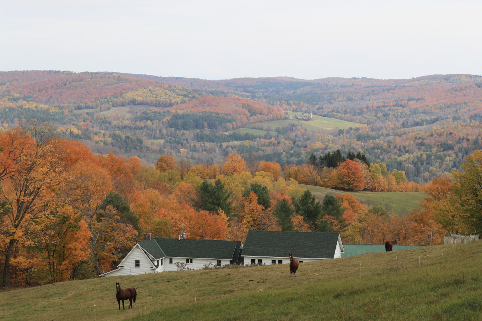 Community – Chelsea, Vermont