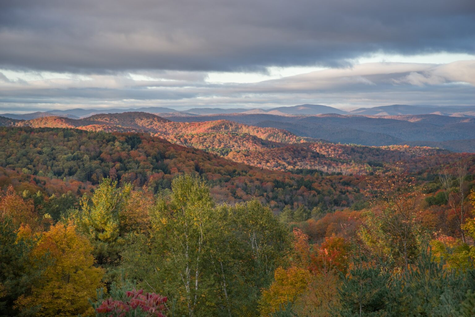Forestry – Chelsea, Vermont